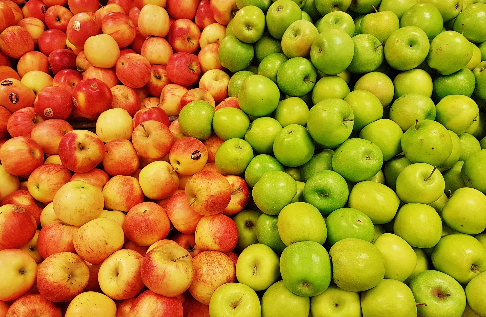 SC David Fruit SRL – Import – Export